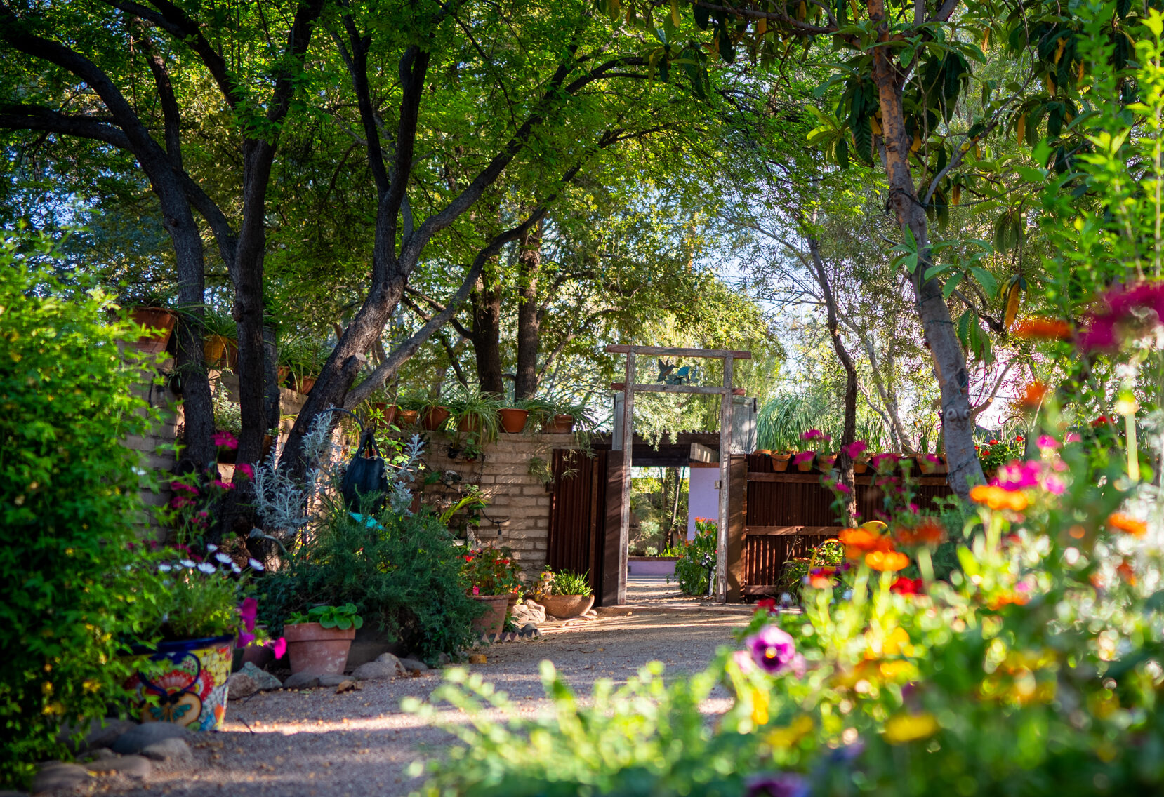 The Gardens & Map - Tucson Botanical Gardens