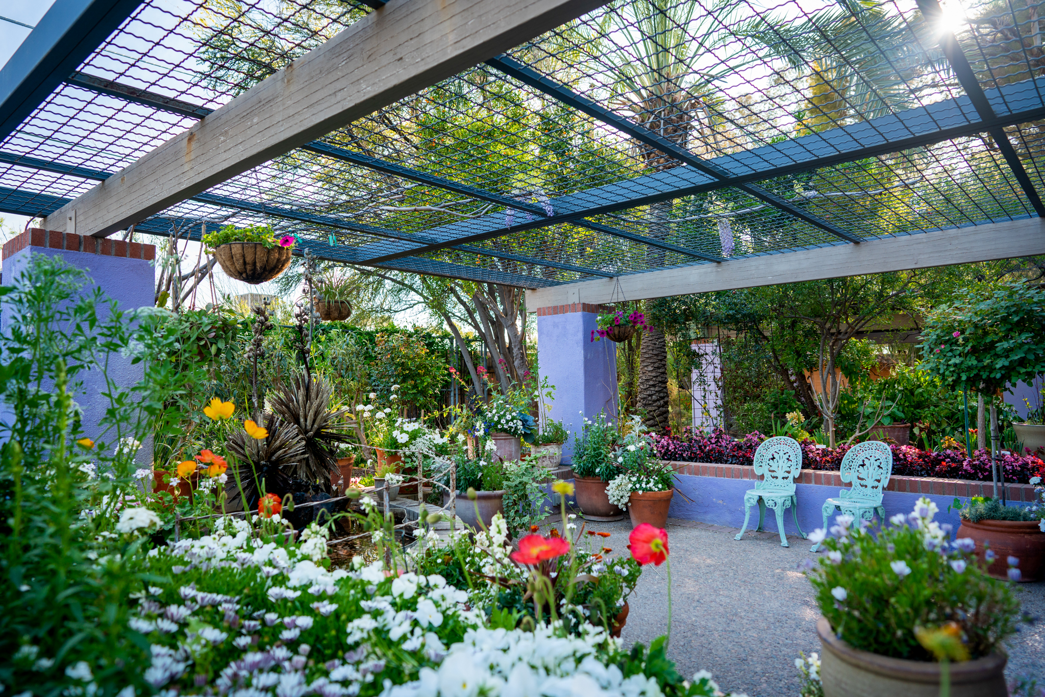 The Gardens & Map - Tucson Botanical Gardens