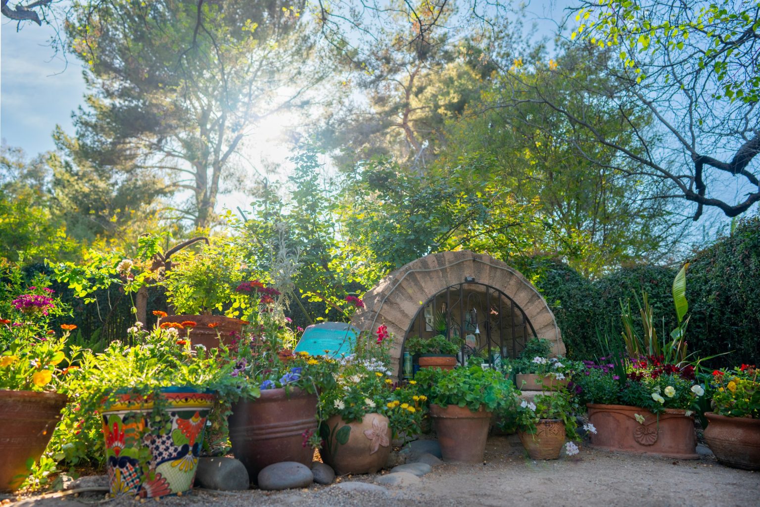 The Gardens & Map - Tucson Botanical Gardens