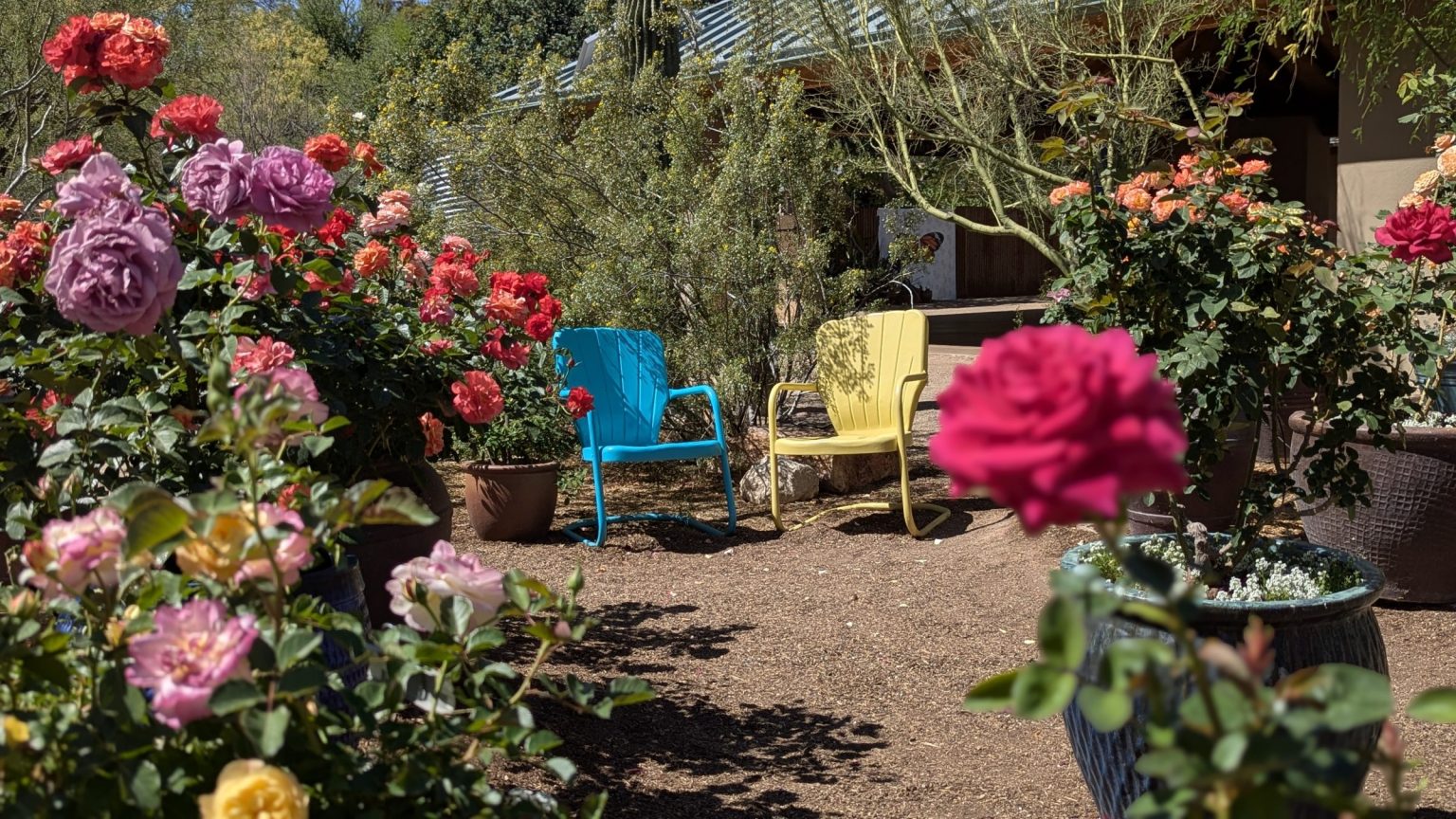 The Gardens & Map - Tucson Botanical Gardens