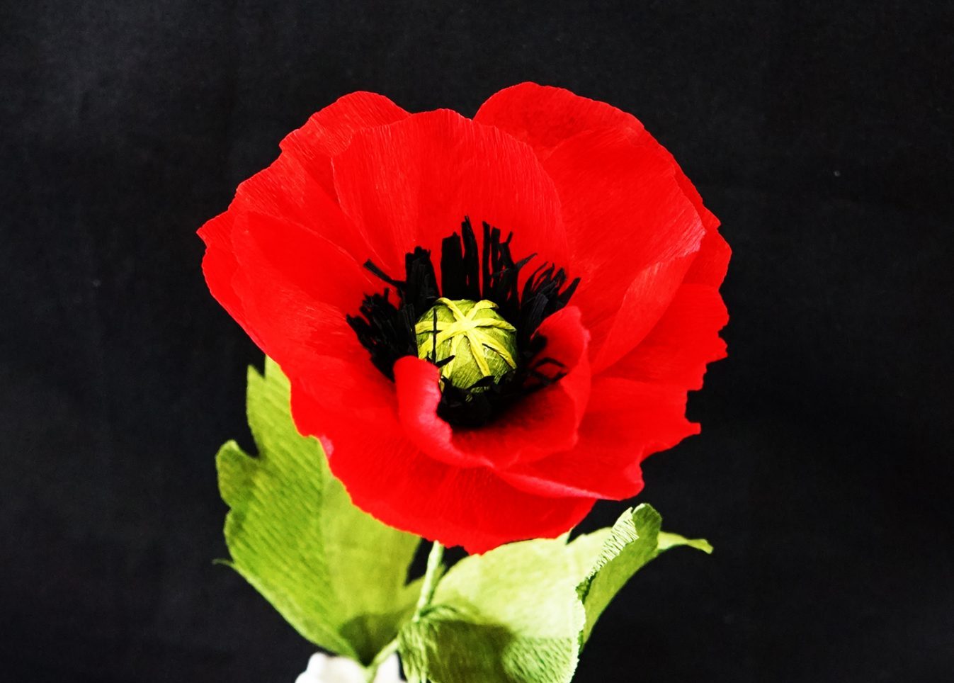 Crepe Paper Red Poppies - Tucson Botanical Gardens